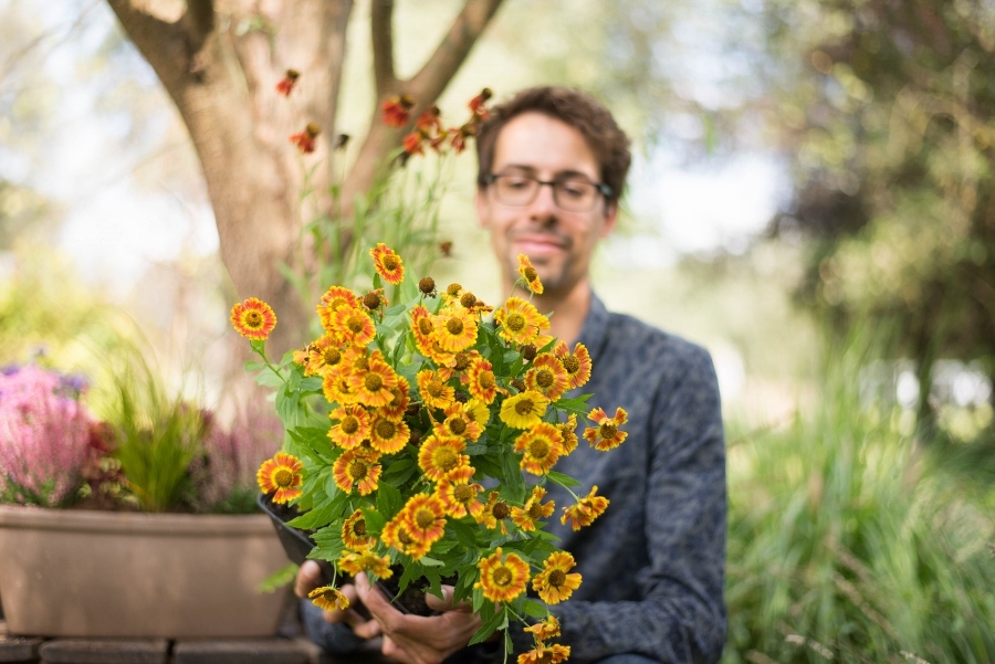 MojObrtnik - TRAJNICE CARNIOLA - GOJENJE, MATIC SEVER s.p.